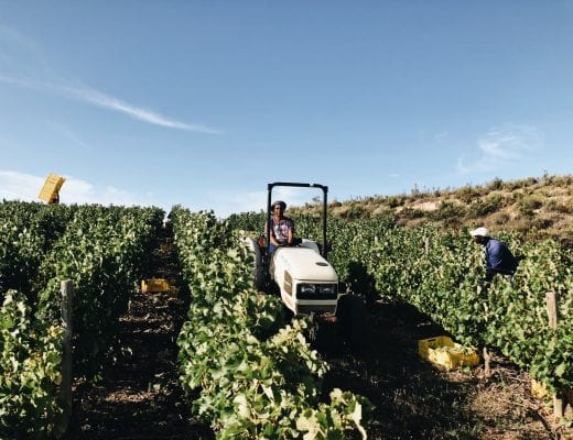 Nico Tortorella on putting Bi in LGBTI+ | HOSPITALITY HEDONIST ...